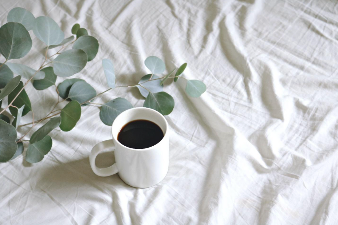 How to Use Stevia Sweetener in Your Coffee & Tea - Herbaly