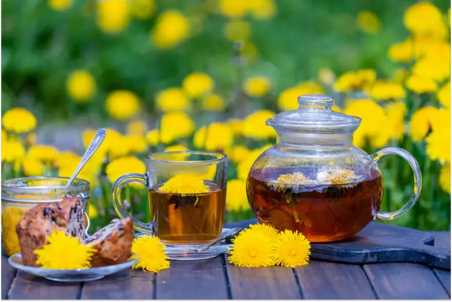When Is the Best Time To Drink Dandelion Tea? - Herbaly